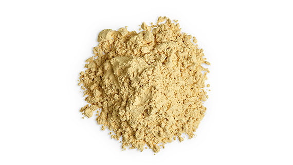 Polyimide powder | Ensinger